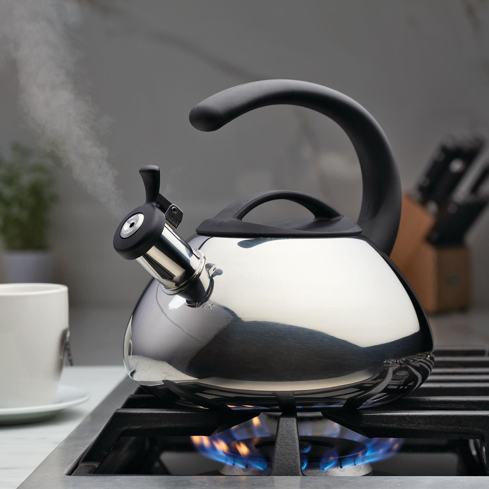 Whistling Tea Kettle: The Ultimate Guide to Perfect Brews - Beans n Teas
